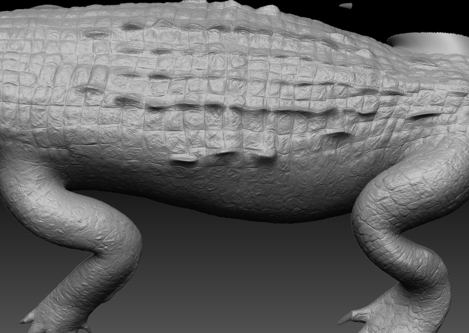 3d alligator reptile animation
