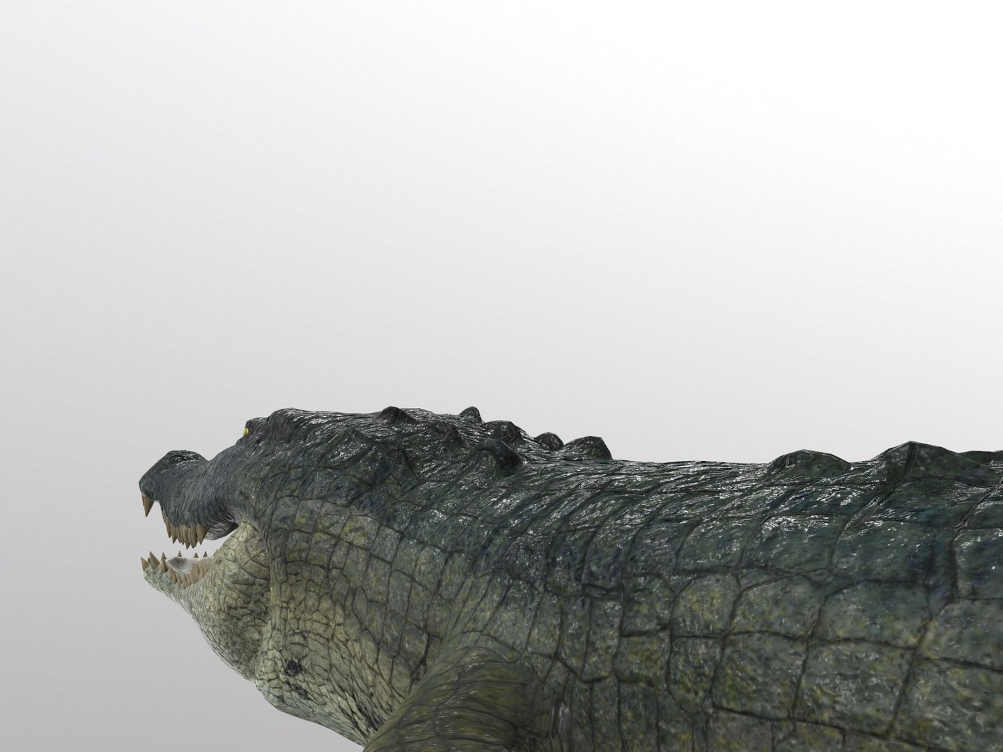 3d alligator reptile animation