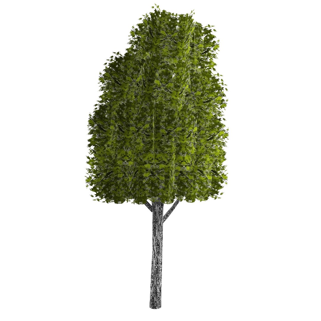 Pc Tree 3d Model