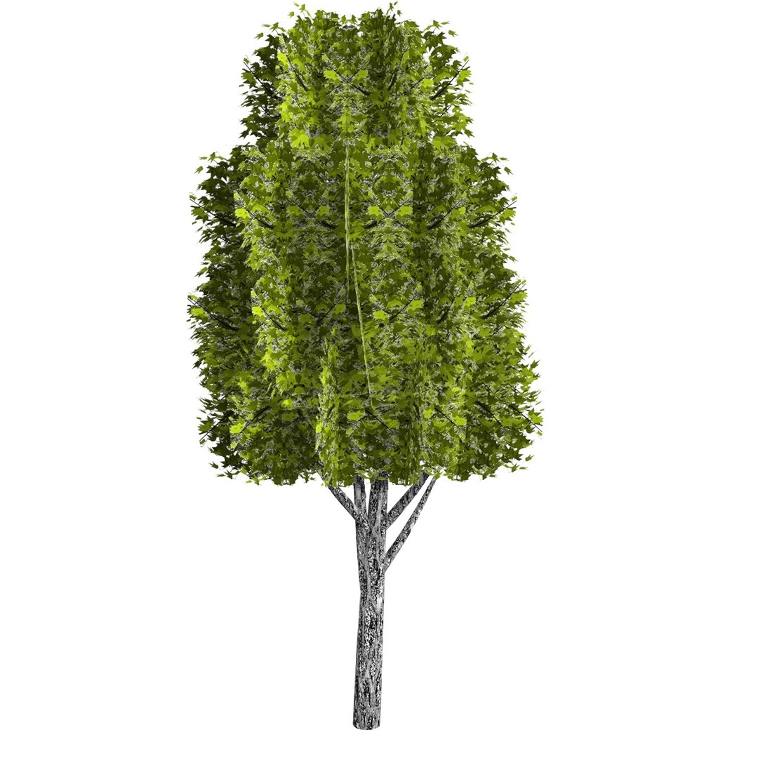 Pc Tree 3d Model
