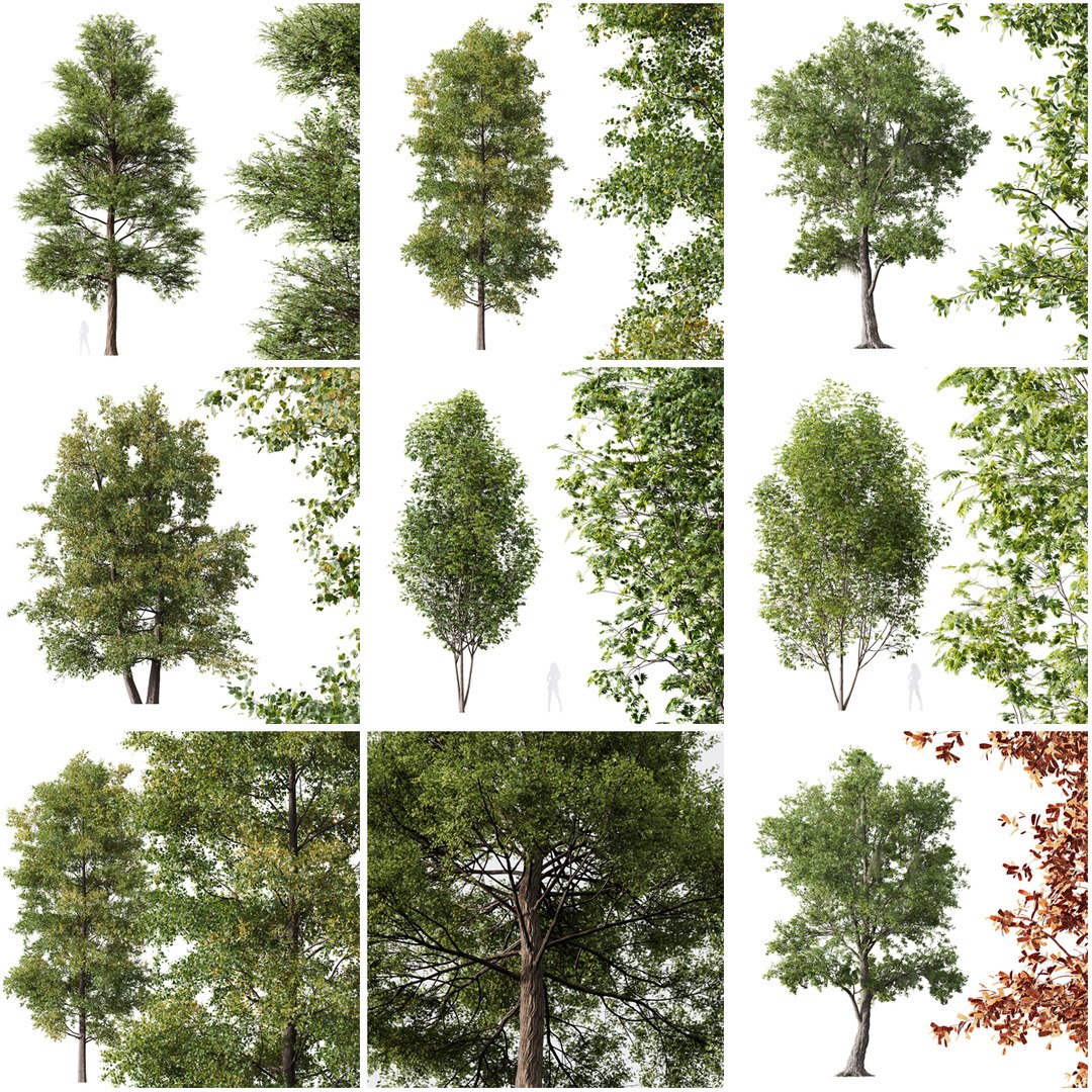 3D Model 6 Different SETS Of Tree SET VOL08 - TurboSquid 2131985