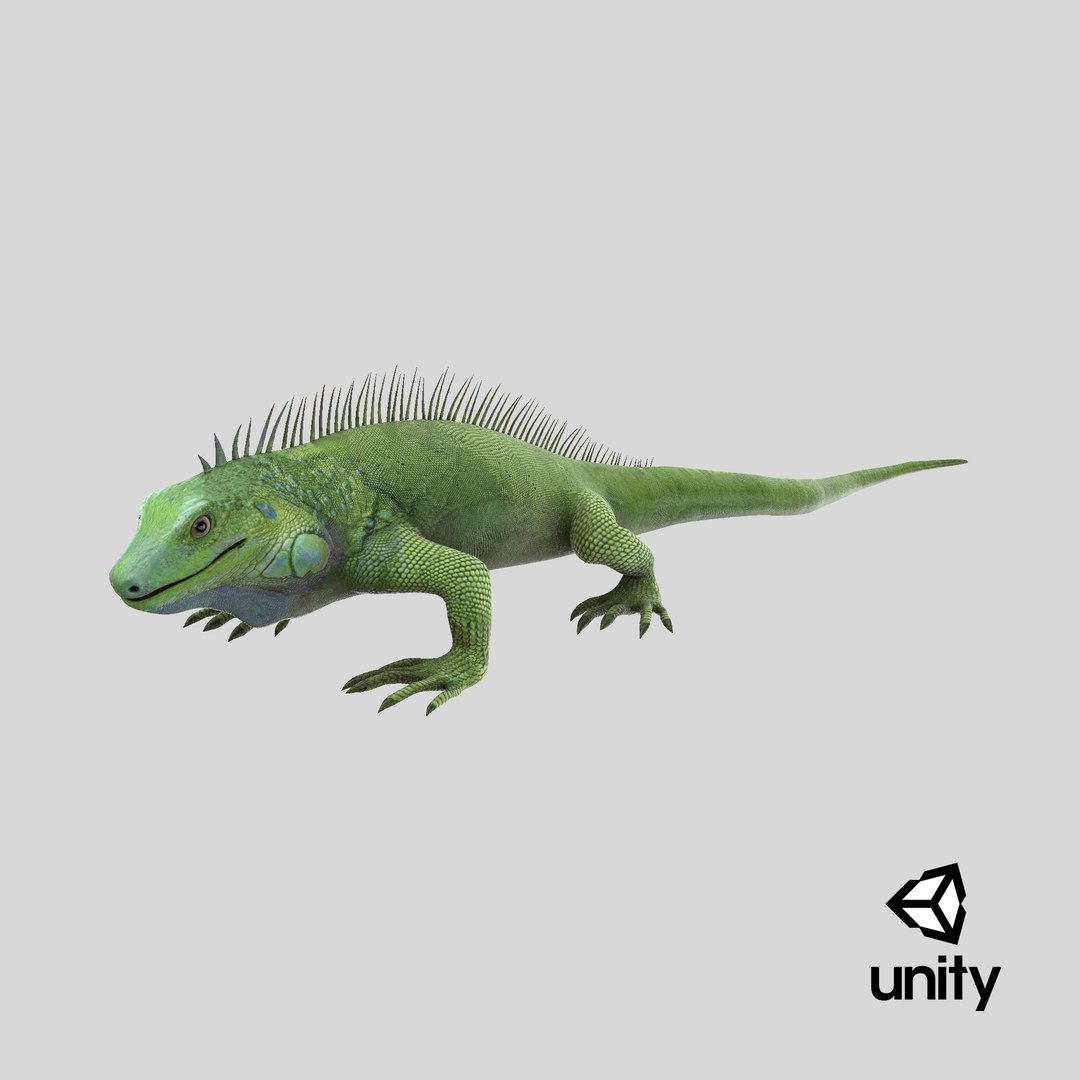 3D Iguana 2 Model - TurboSquid 2132785