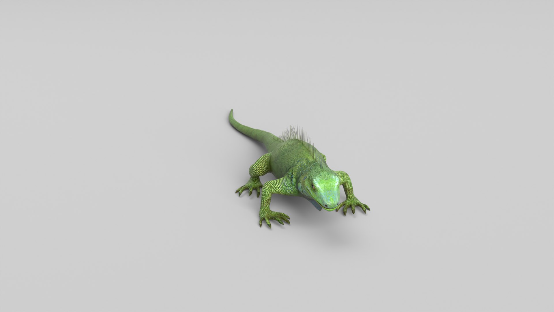 3D Iguana 2 Model - TurboSquid 2132785
