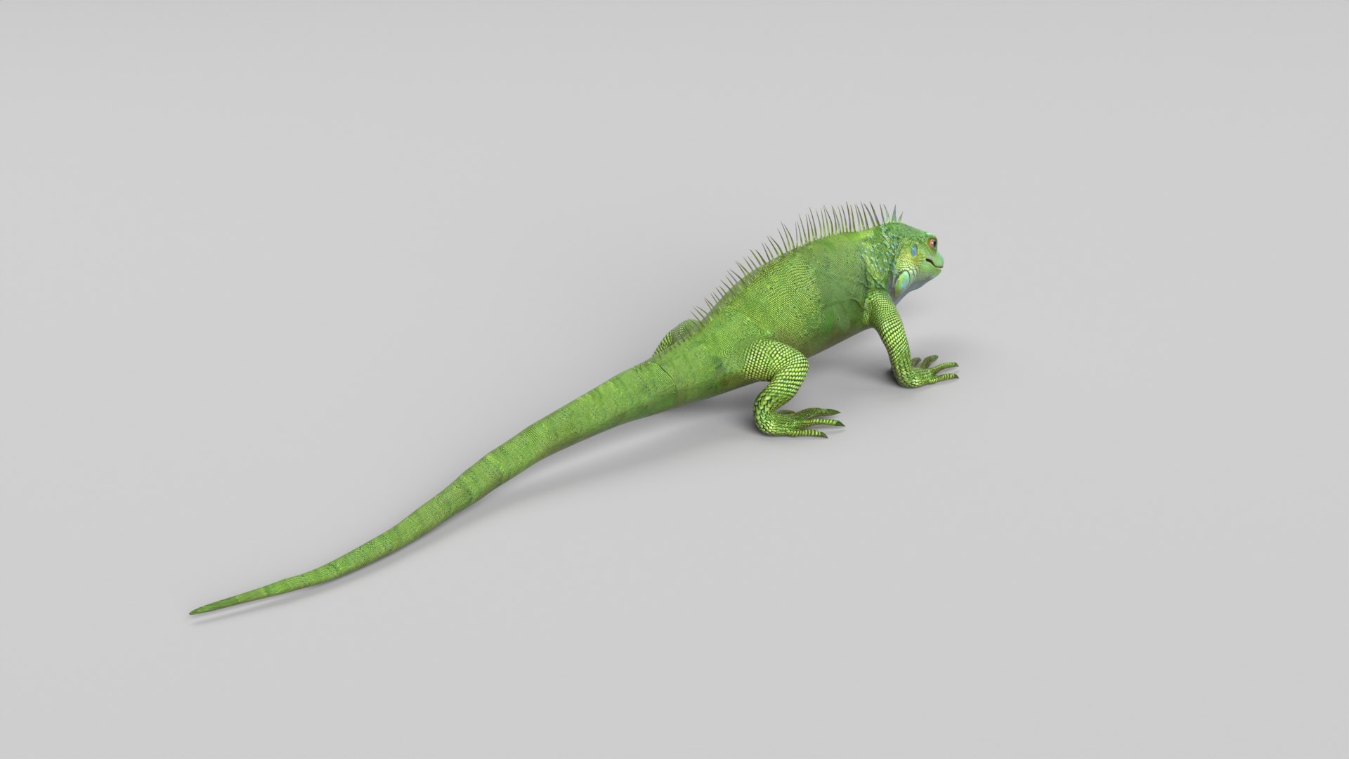 3D Iguana 2 Model - TurboSquid 2132785