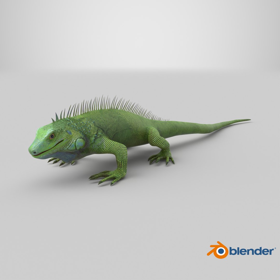 3D Iguana 2 Model - TurboSquid 2132785