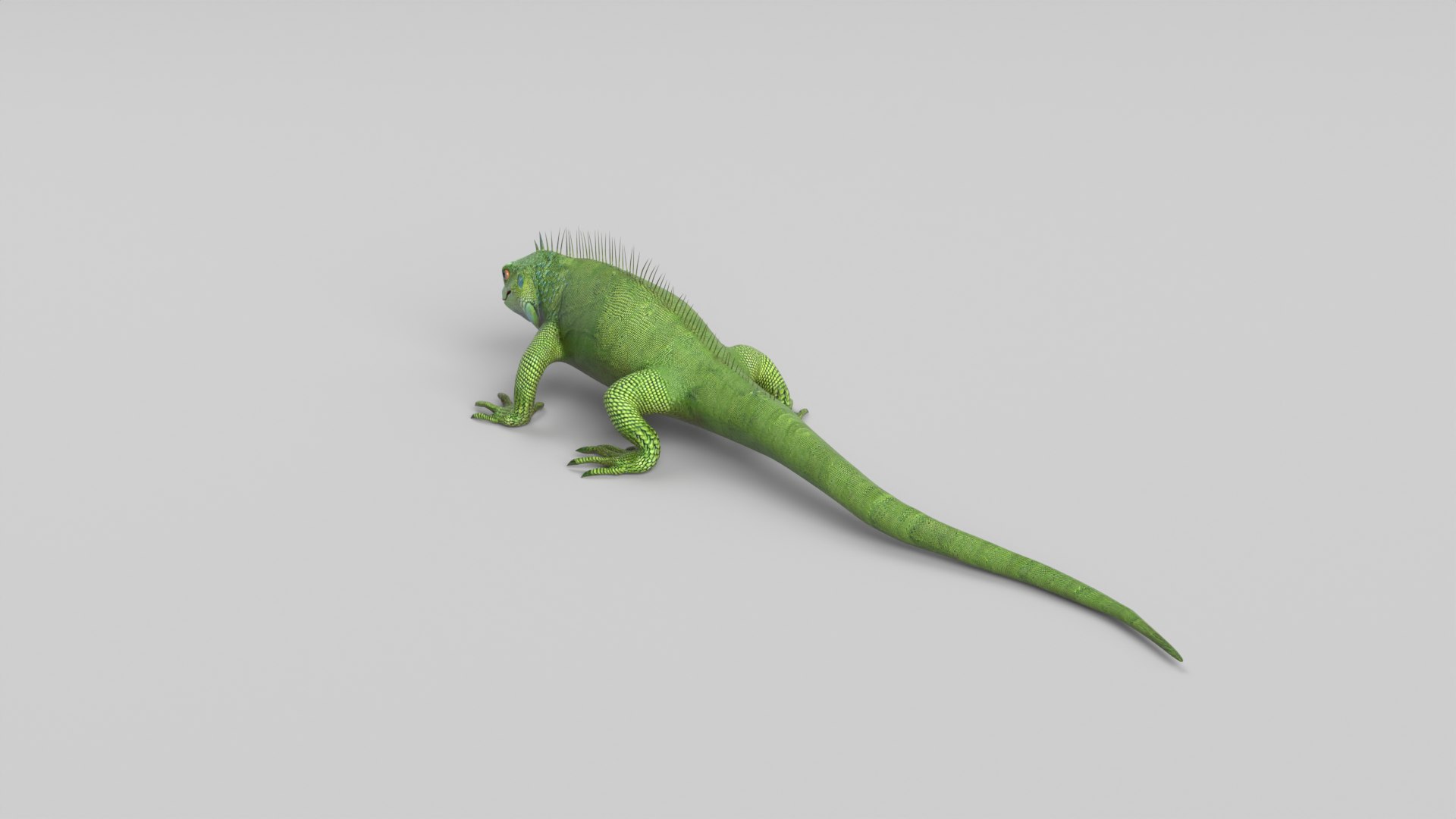 3D Iguana 2 Model - TurboSquid 2132785