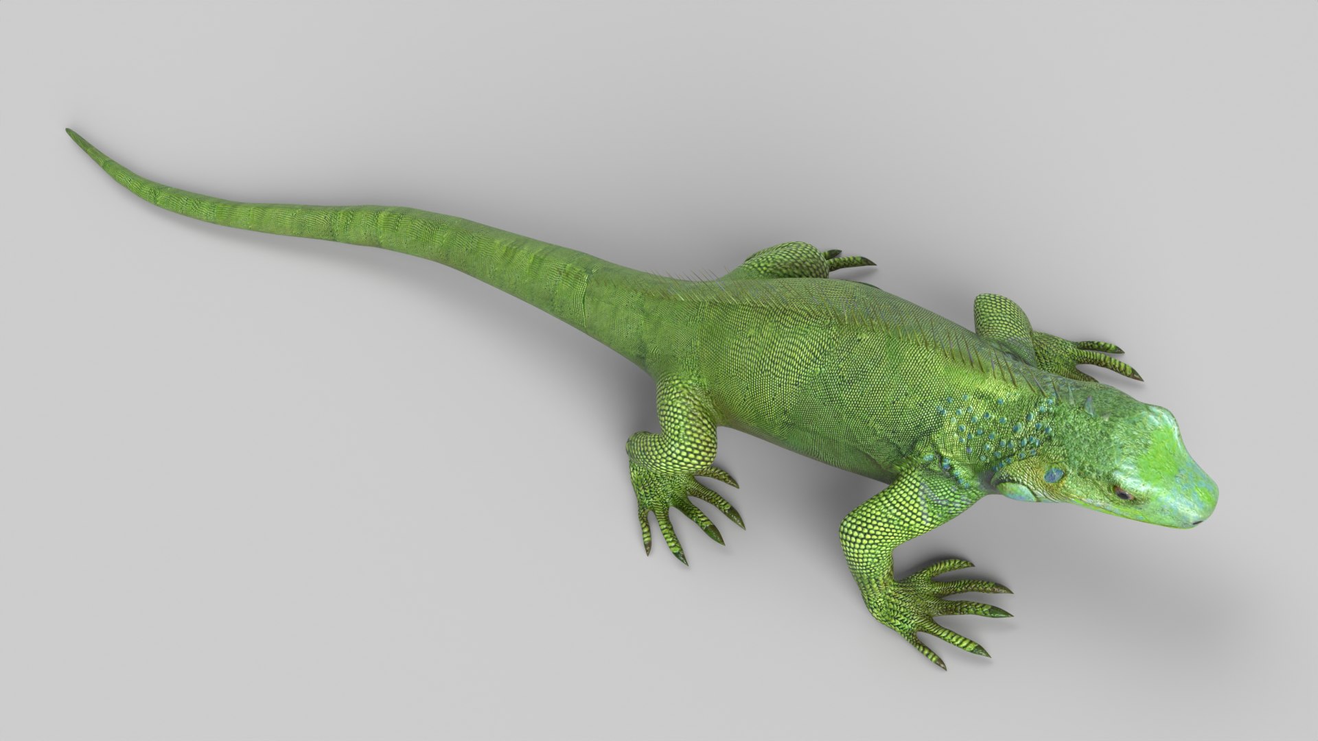 3D Iguana 2 Model - TurboSquid 2132785