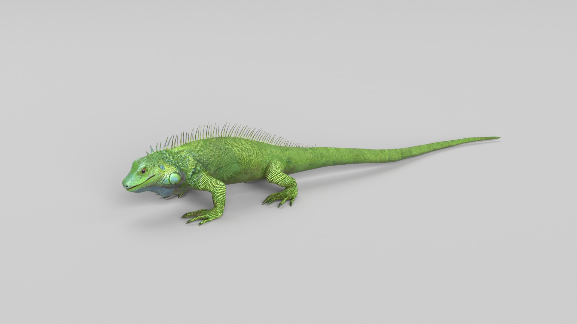 3D Iguana 2 Model - TurboSquid 2132785