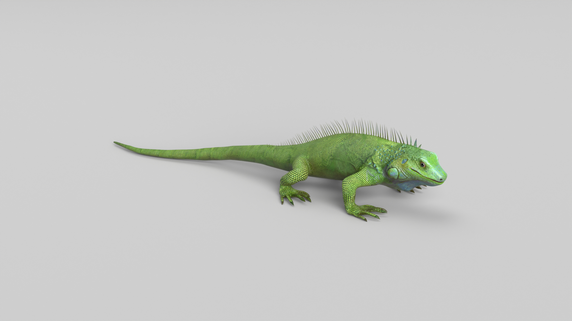3D Iguana 2 Model - TurboSquid 2132785