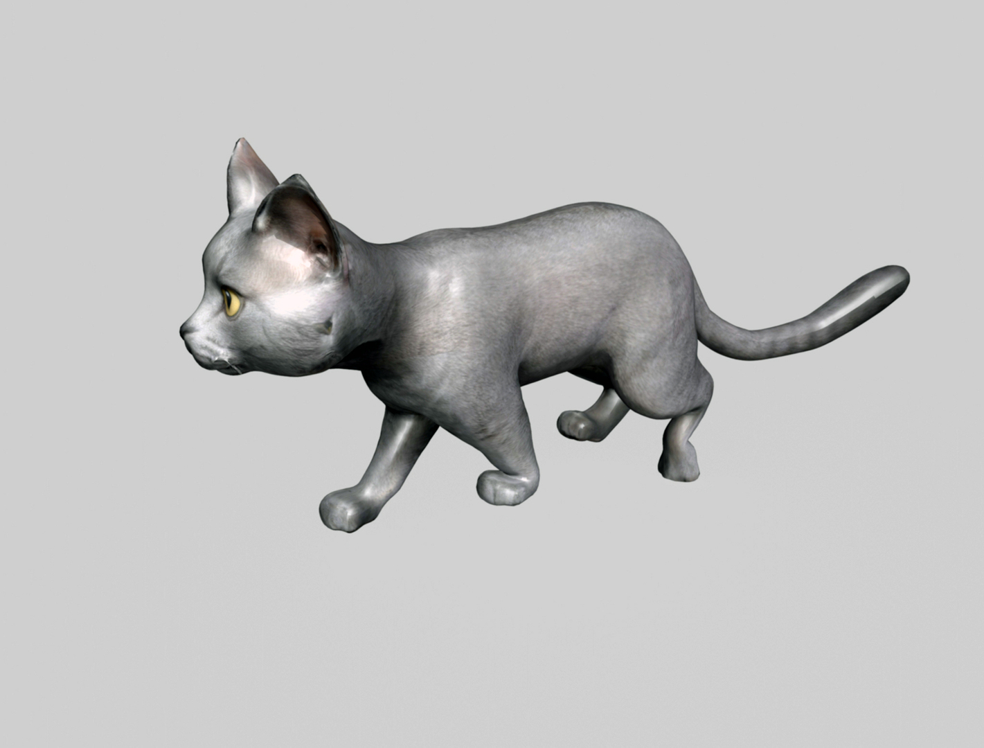 3D Realistic Grey Cat 3D Model Model - TurboSquid 2328581
