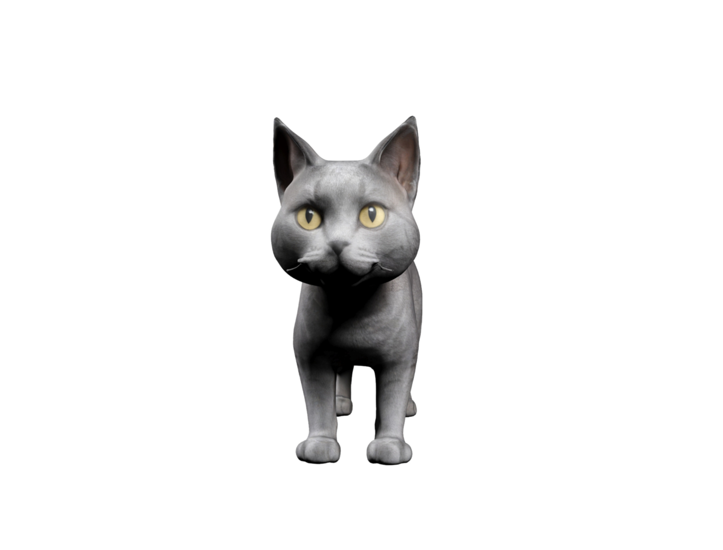 3D Realistic Grey Cat 3D Model Model - TurboSquid 2328581