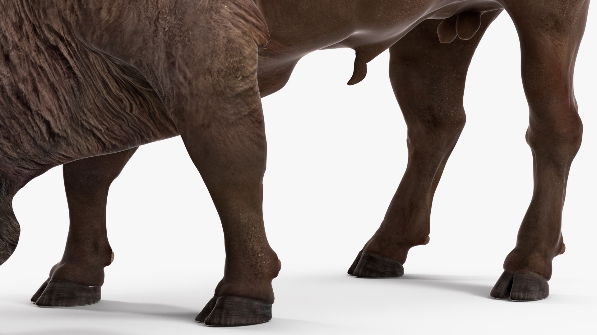 American Bison Rigged 3D Model - TurboSquid 2131033