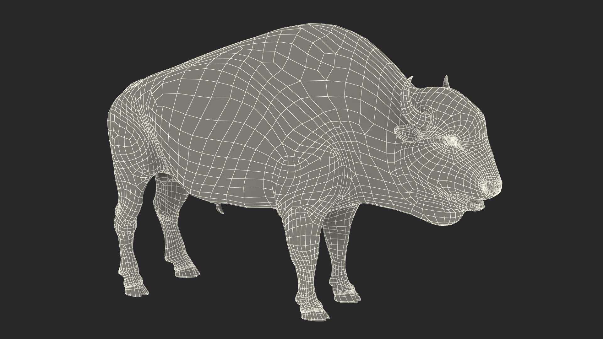 American Bison Rigged 3D Model - TurboSquid 2131033