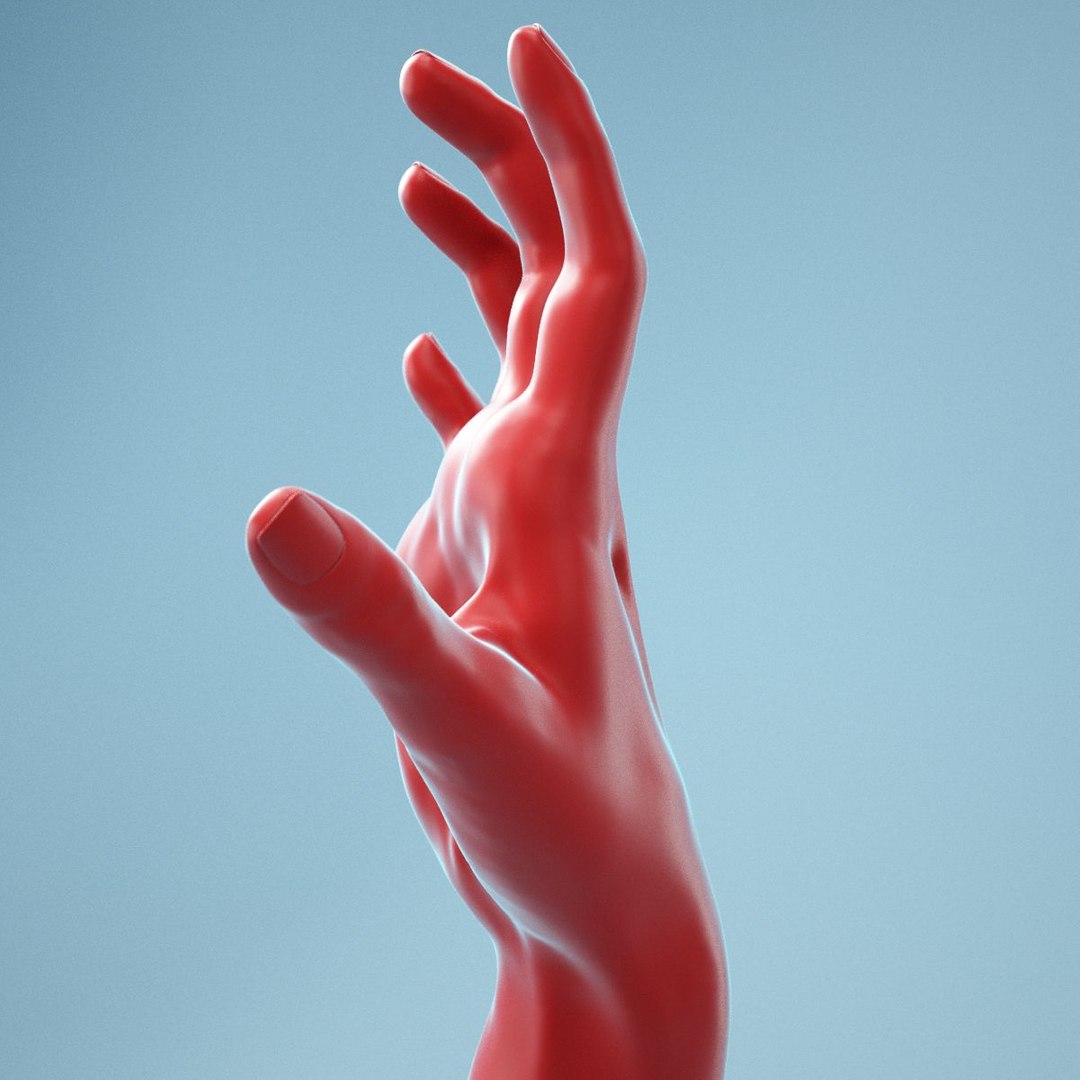 Female hand 3D - TurboSquid 1451703