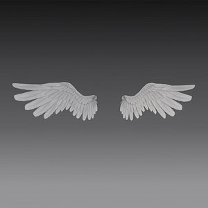Free Blender Wings Models | TurboSquid