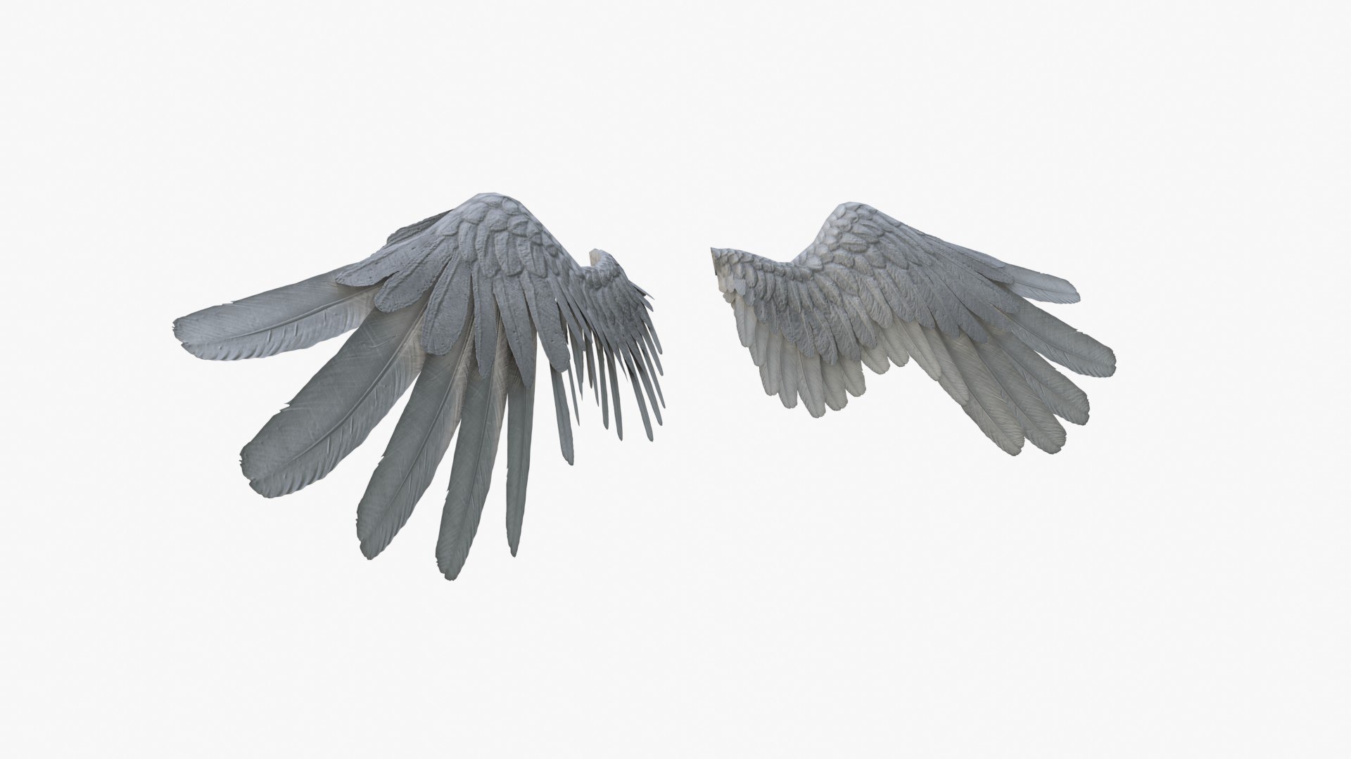 Angel Wings 3D Model - TurboSquid 1738543