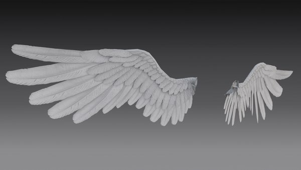 Angel Wings 3D model - TurboSquid 1738543