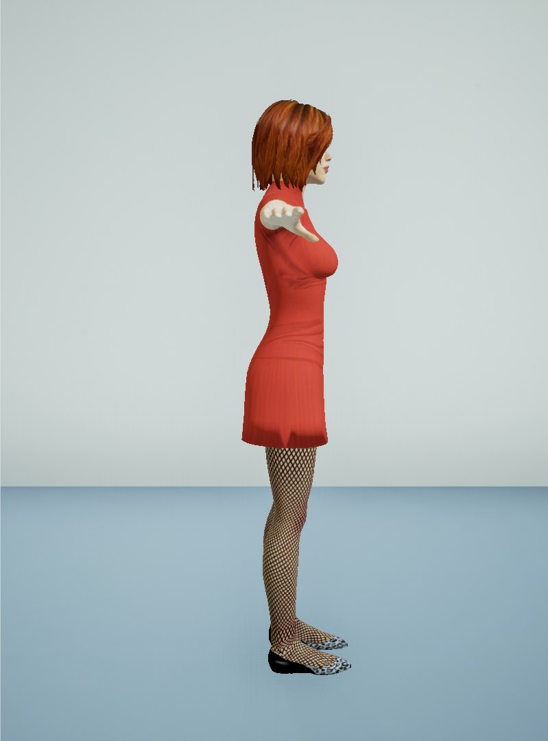 3d Rigged Character