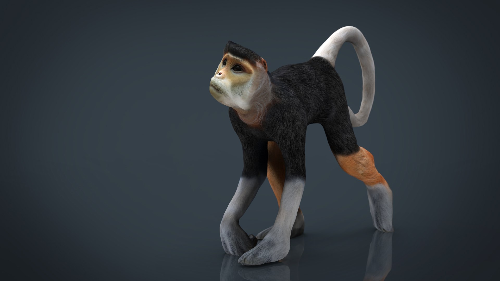Monkey 3D Model - TurboSquid 1205229