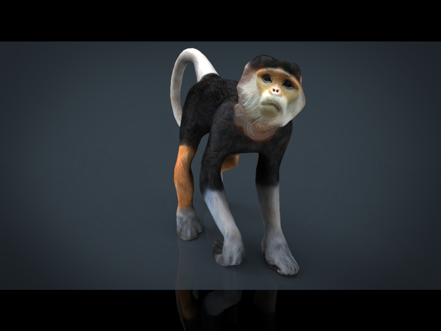 Monkey 3D Model - TurboSquid 1205229