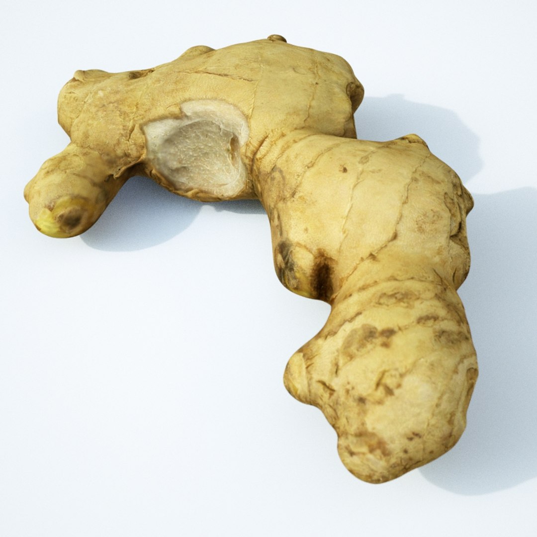 3D ginger - TurboSquid 1268570