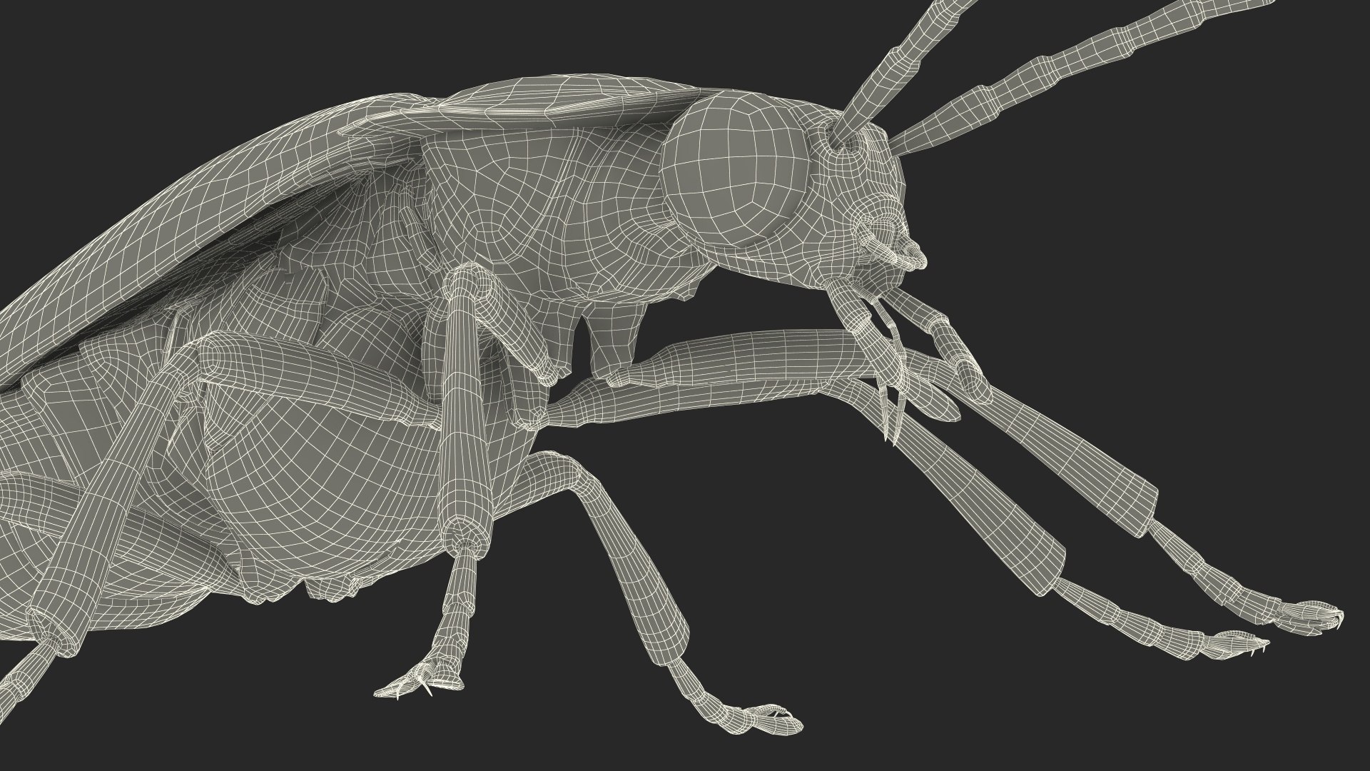 3D Eastern Firefly Crawling Pose Fur Model - TurboSquid 2171932