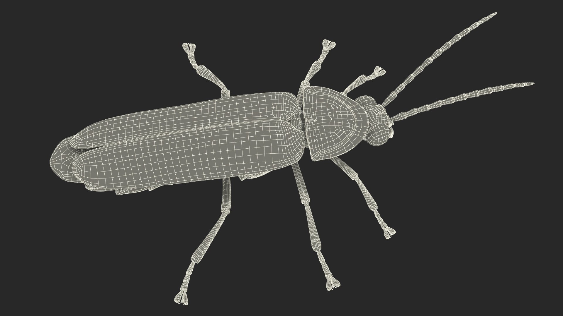 3D Eastern Firefly Crawling Pose Fur model - TurboSquid 2171932