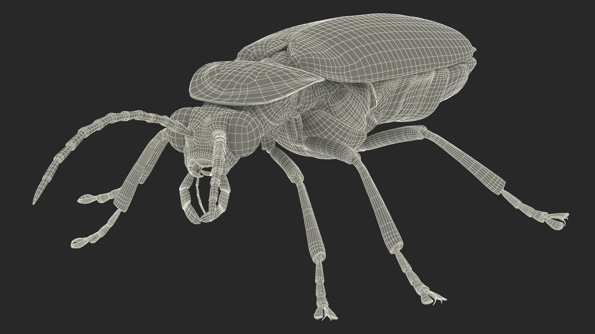 3D Eastern Firefly Crawling Pose Fur Model - TurboSquid 2171932