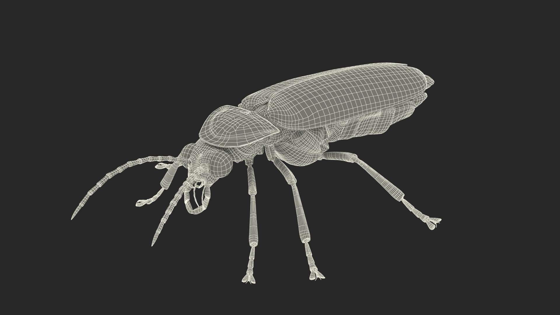 3D Eastern Firefly Crawling Pose Fur Model - TurboSquid 2171932