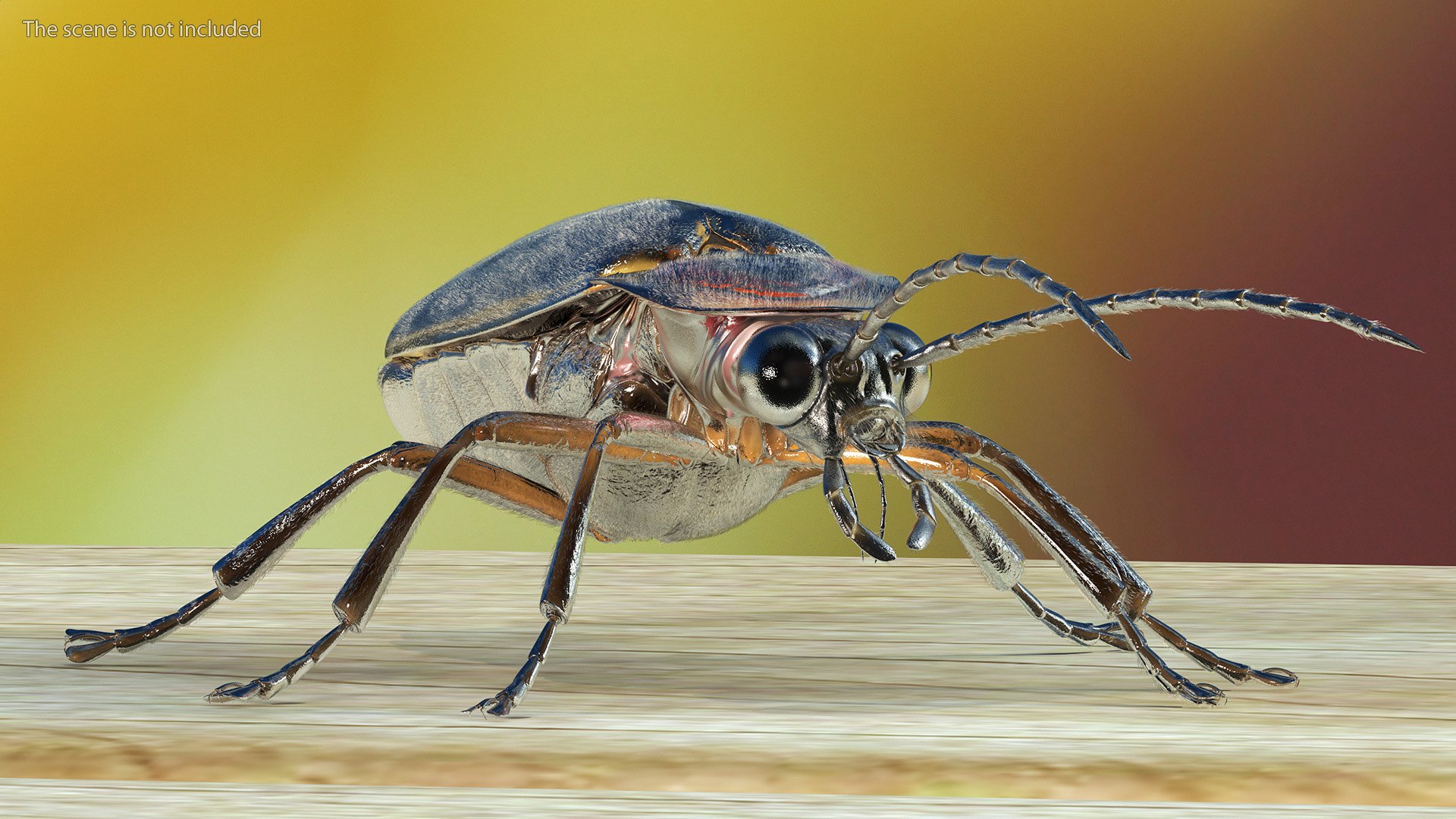 3D Eastern Firefly Crawling Pose Fur Model - TurboSquid 2171932