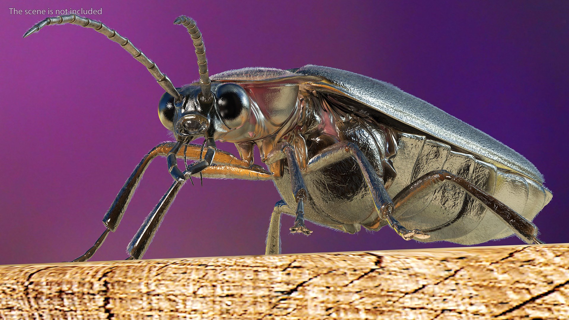 3D Eastern Firefly Crawling Pose Fur Model - TurboSquid 2171932