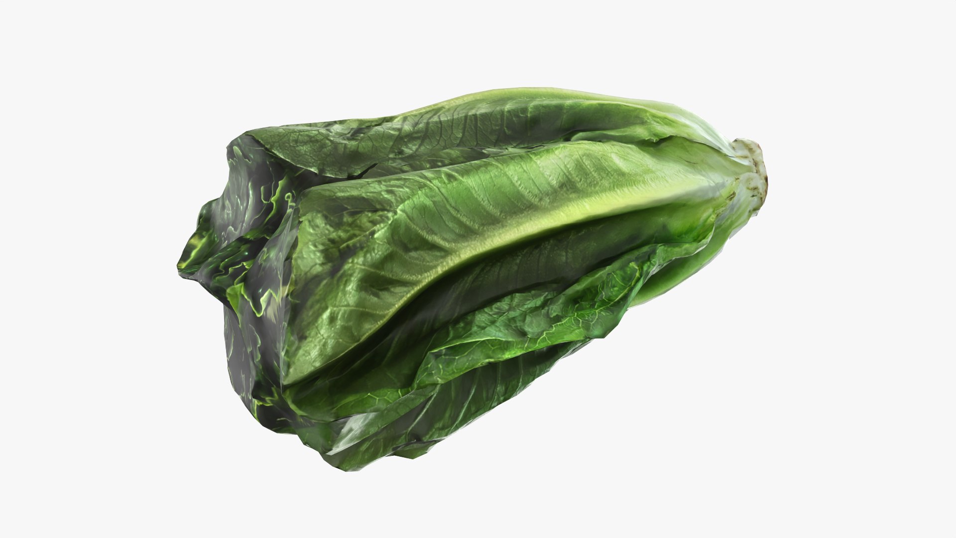 3D Model Romaine Lettuce 01 - Real-Time - TurboSquid 2454484