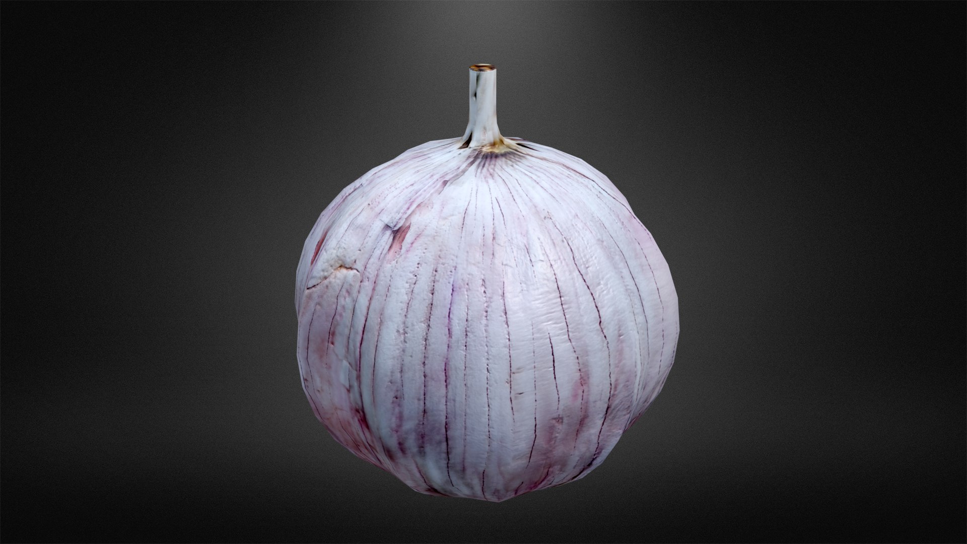 3D Garlic Model - TurboSquid 1944273