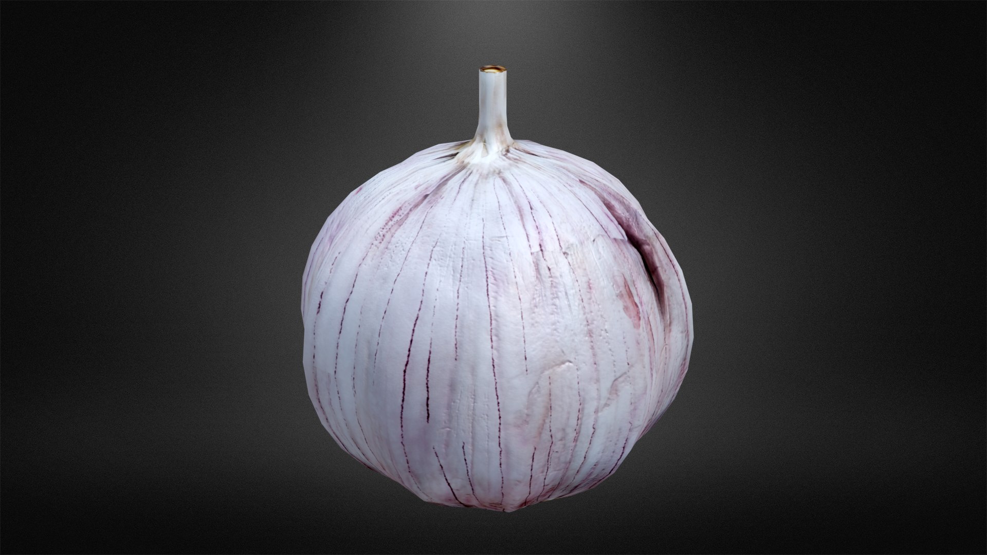 3D Garlic Model - TurboSquid 1944273