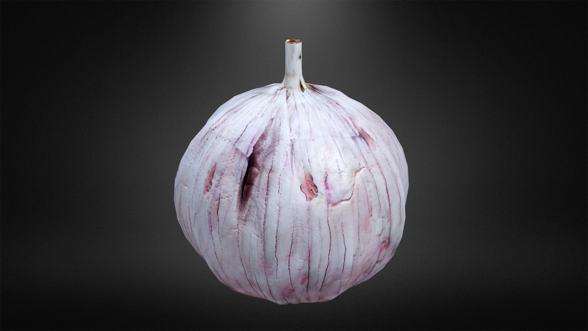 3D Garlic Model - TurboSquid 1944273