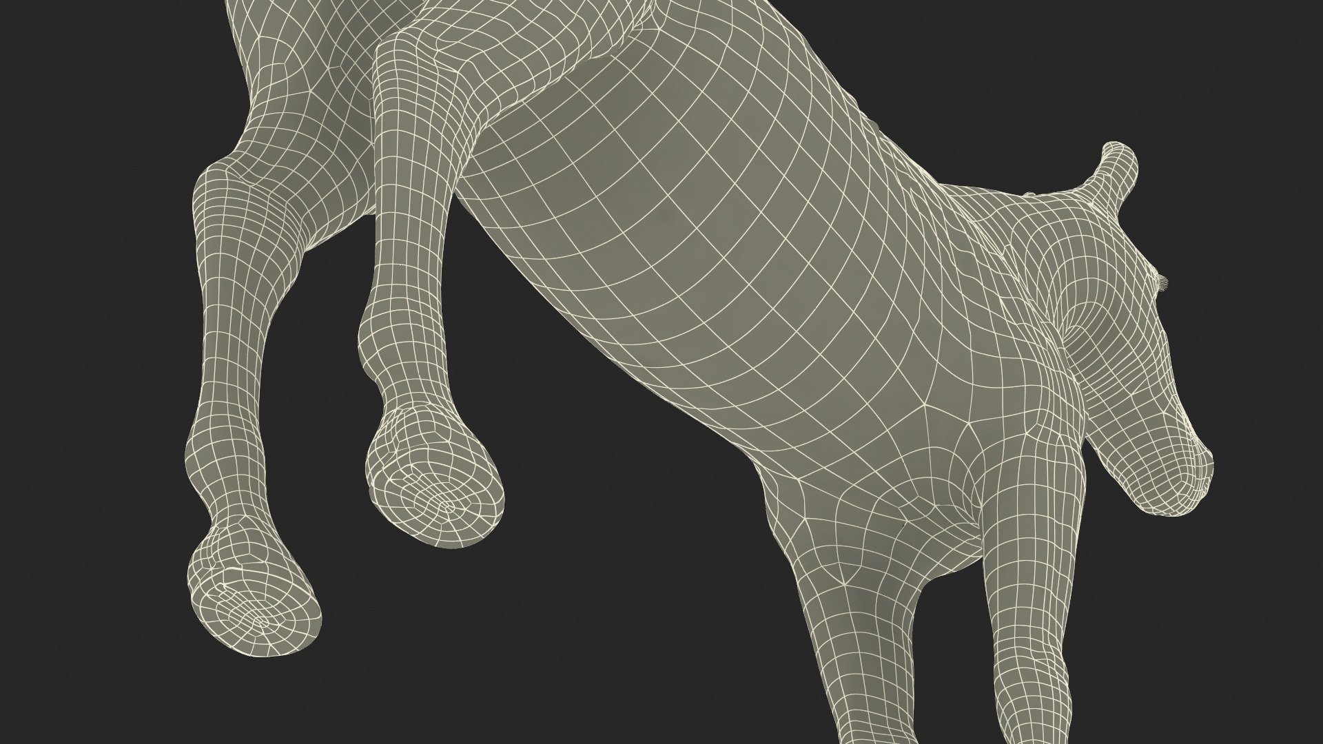 Mule Rigged 3D Model - TurboSquid 2280753