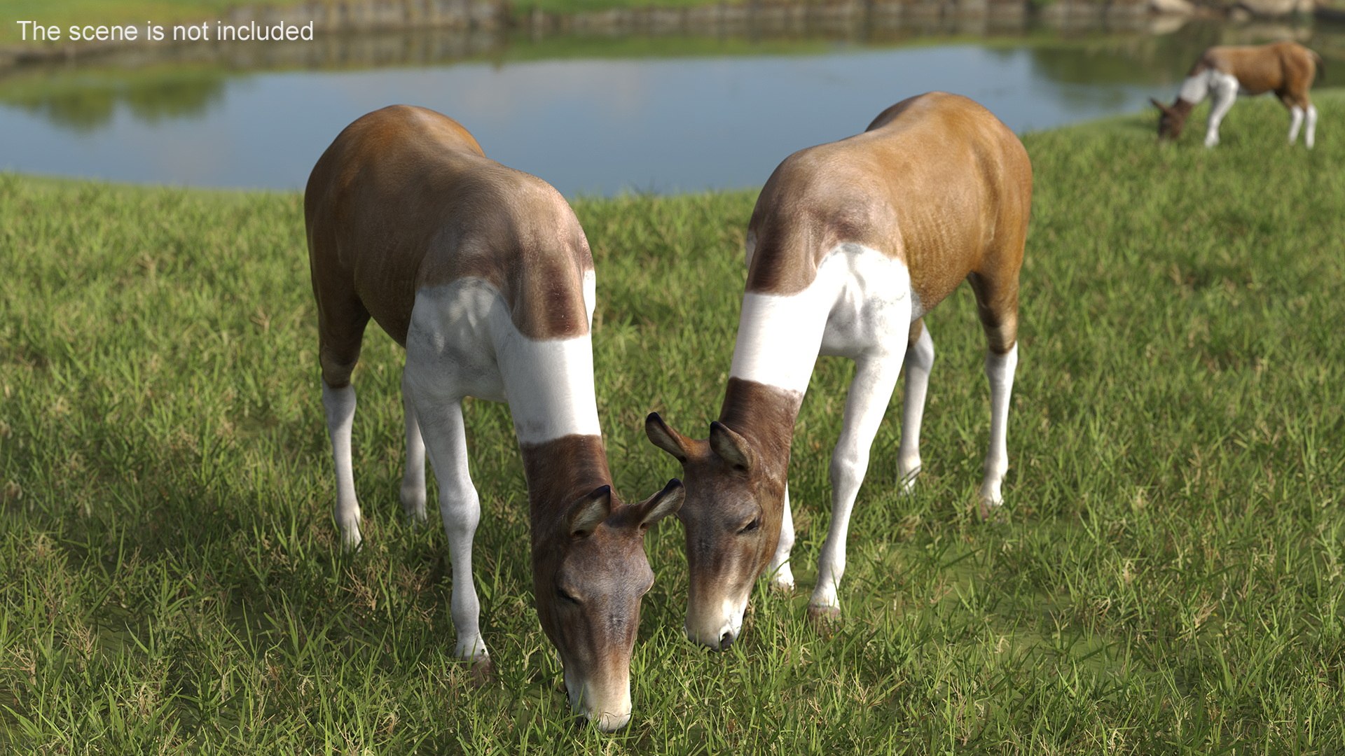 Mule Rigged 3D Model - TurboSquid 2280753