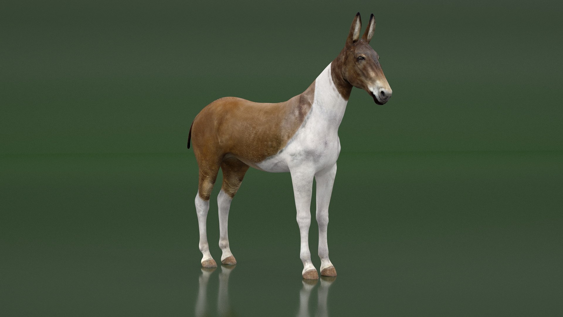 Mule Rigged 3D Model - TurboSquid 2280753