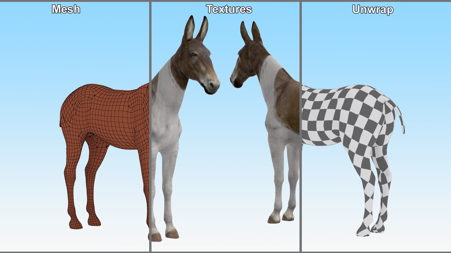 Mule Rigged 3D Model - TurboSquid 2280753