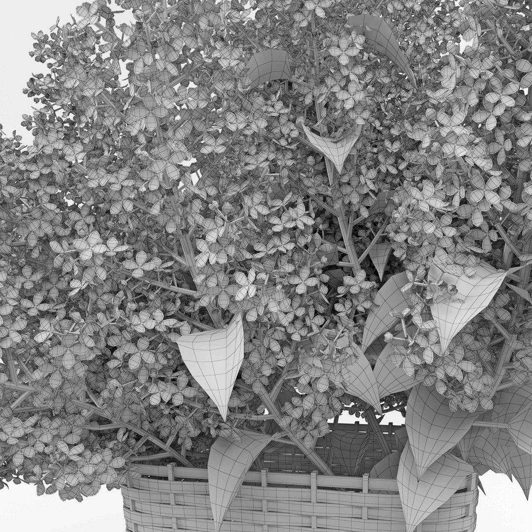 Lilac model - TurboSquid 1254822