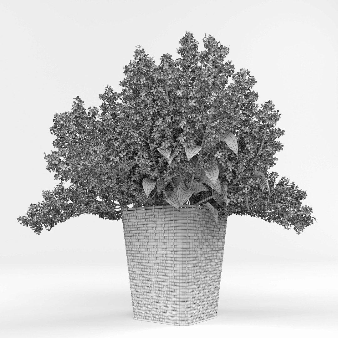 Lilac model - TurboSquid 1254822