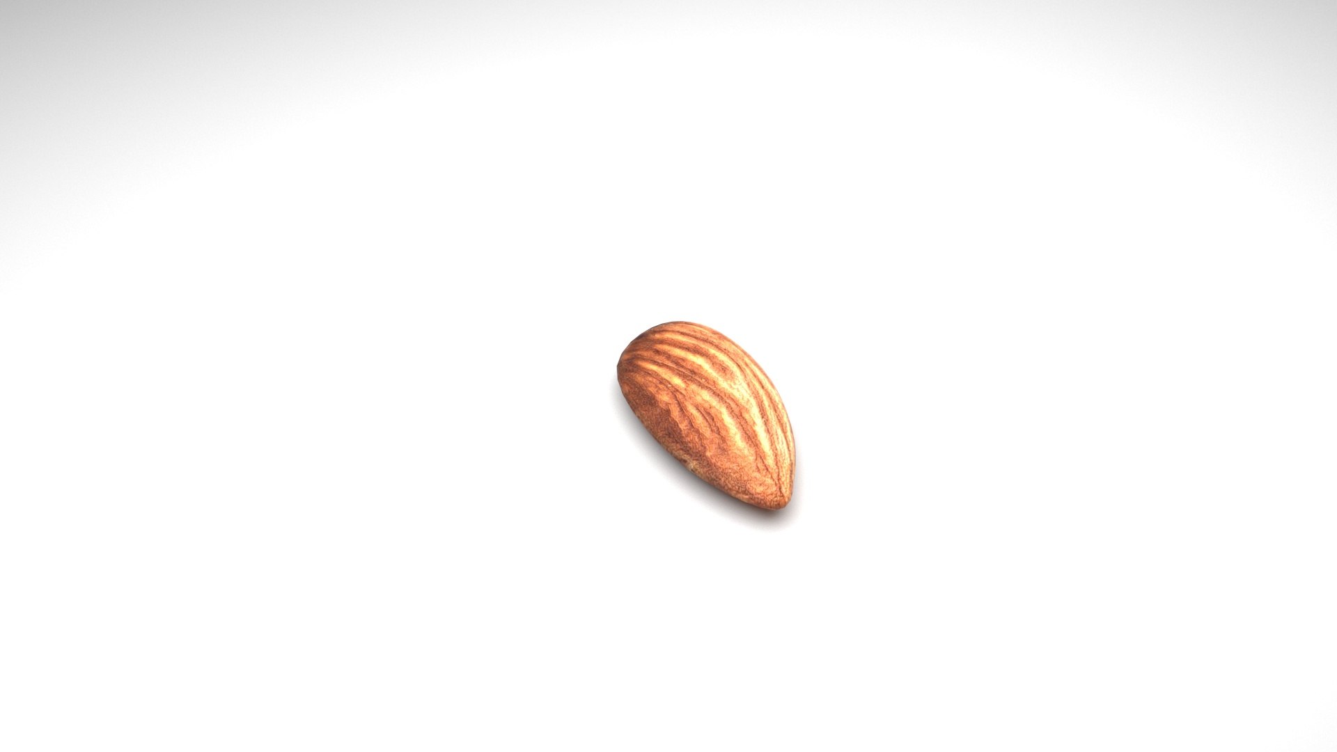 Almond 3D Model - TurboSquid 1849794