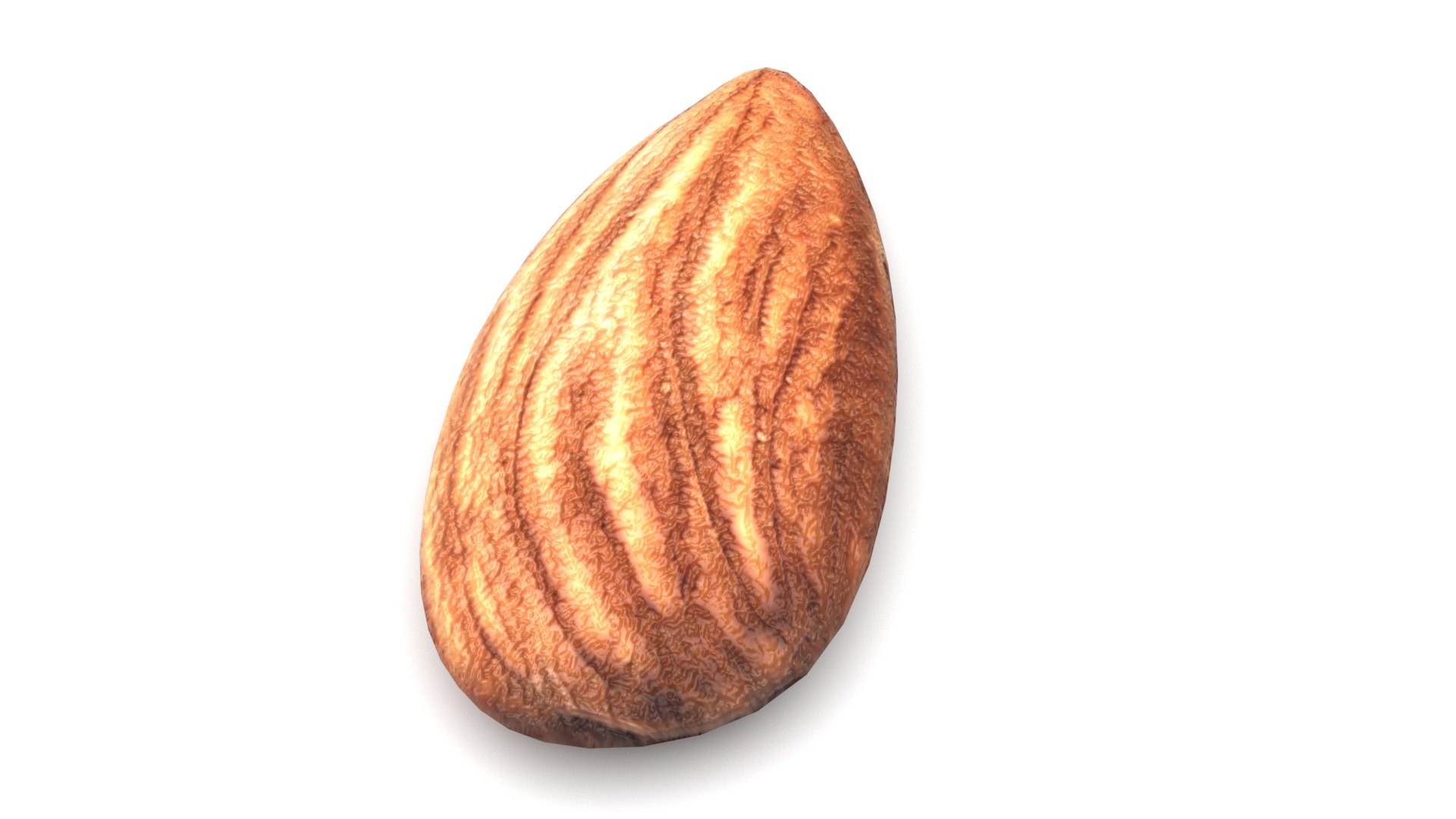 Almond 3D Model - TurboSquid 1849794