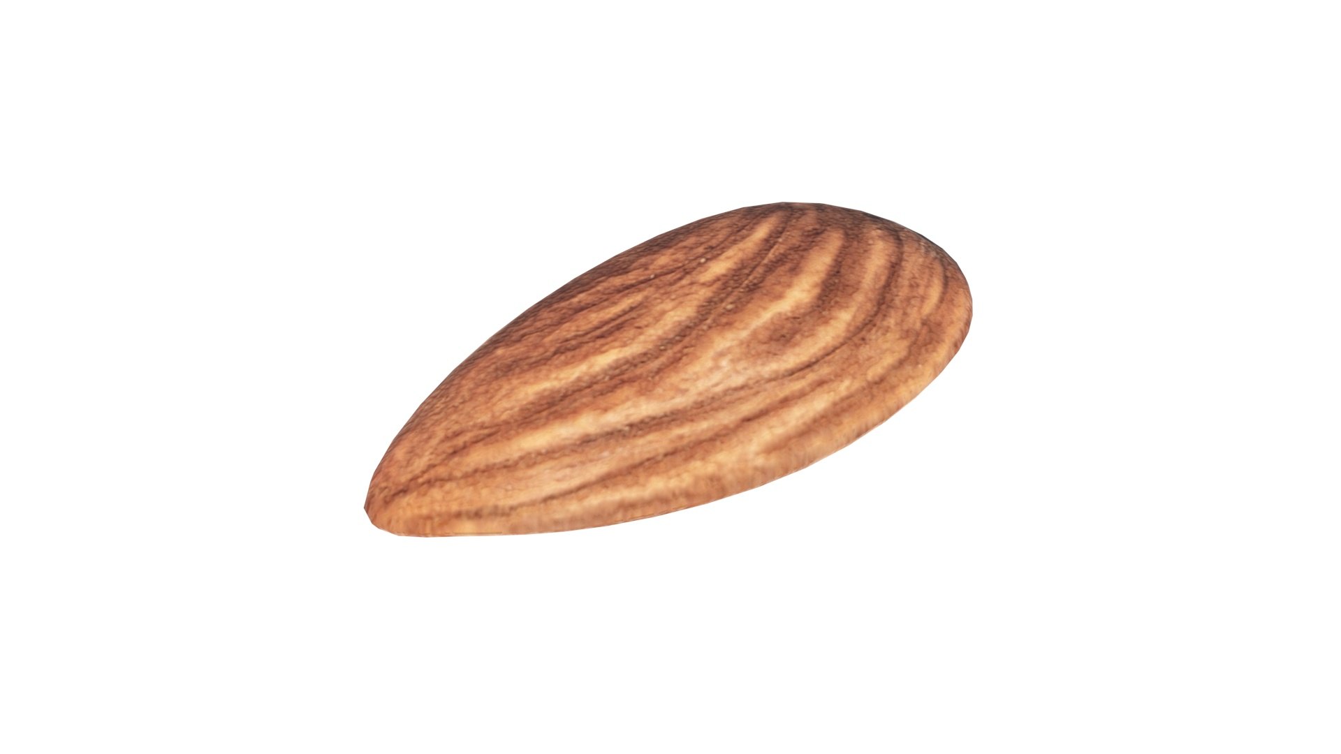 Almond 3D Model - TurboSquid 1849794