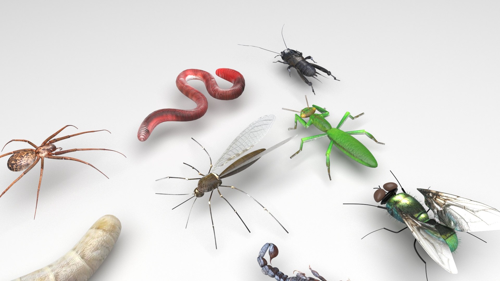 3D model Worms Set - TurboSquid 1873876