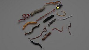 Worm Tapeworm Model - TurboSquid 1681791