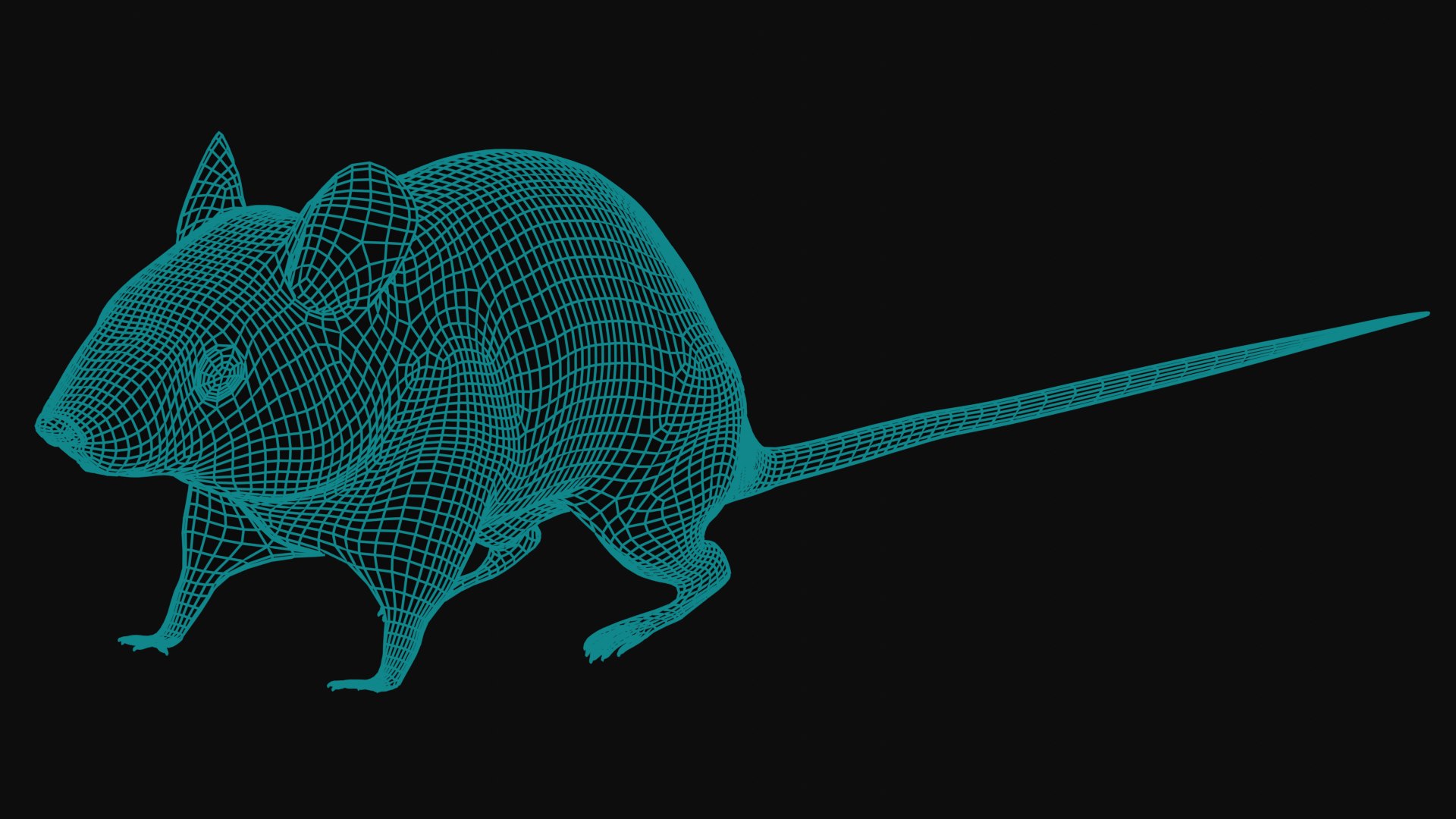 3D Little Mouse - TurboSquid 2037729
