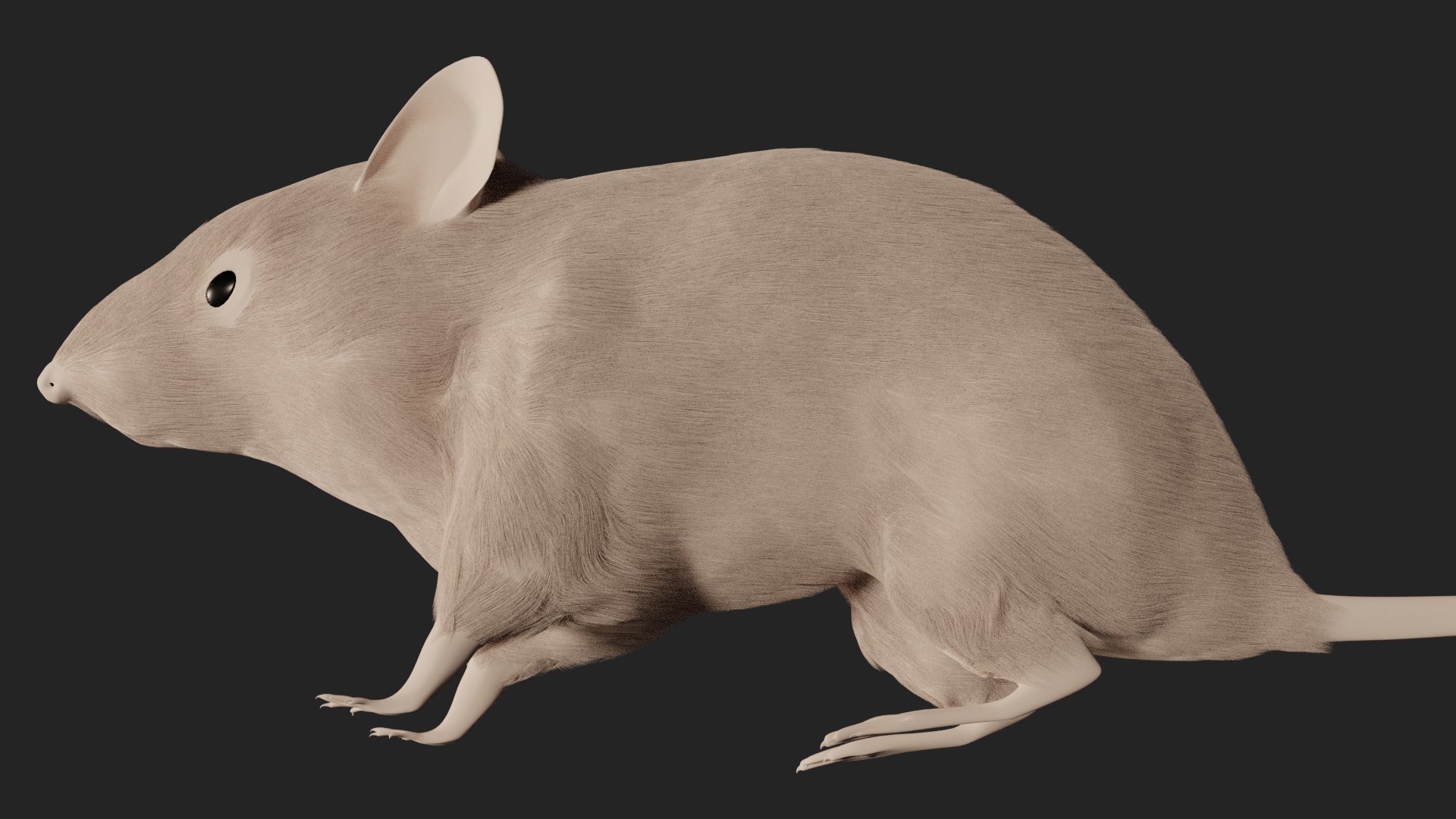 3D Little Mouse - TurboSquid 2037729