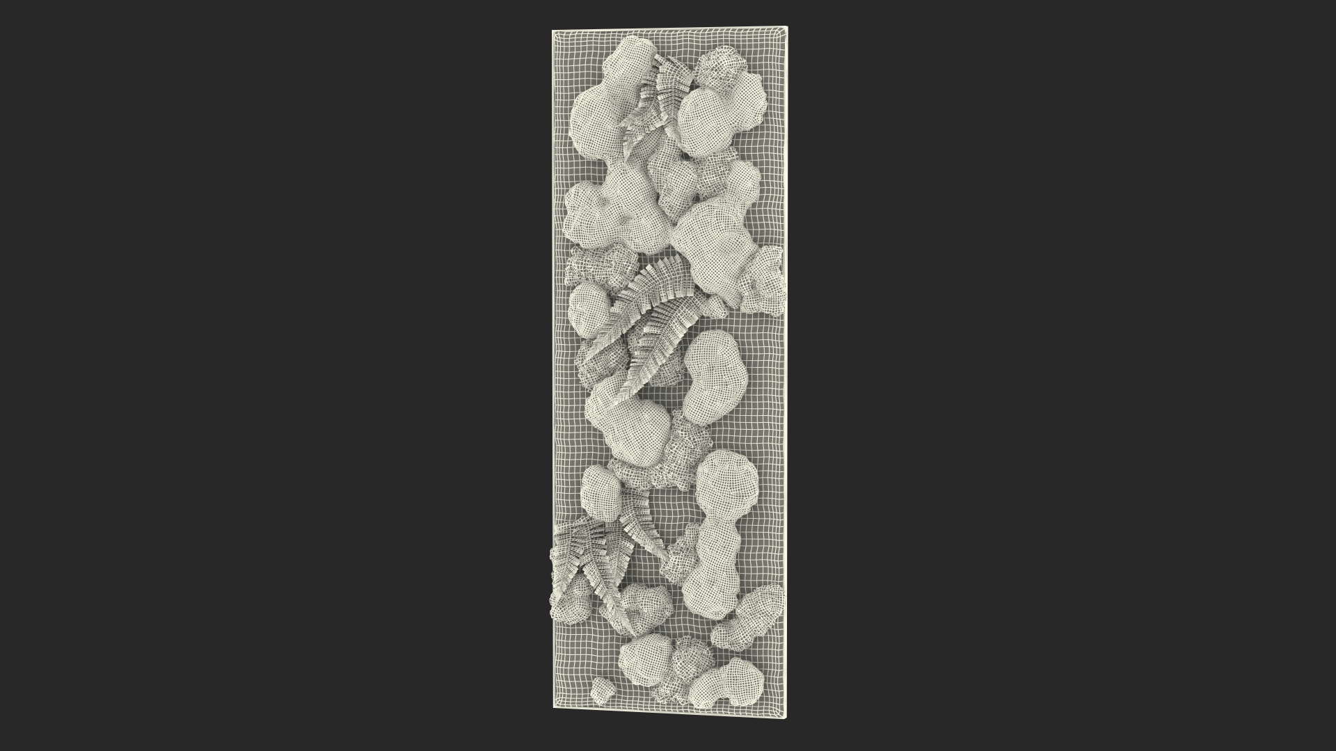 Natural Moss Wall Preserved 3D - TurboSquid 1655386