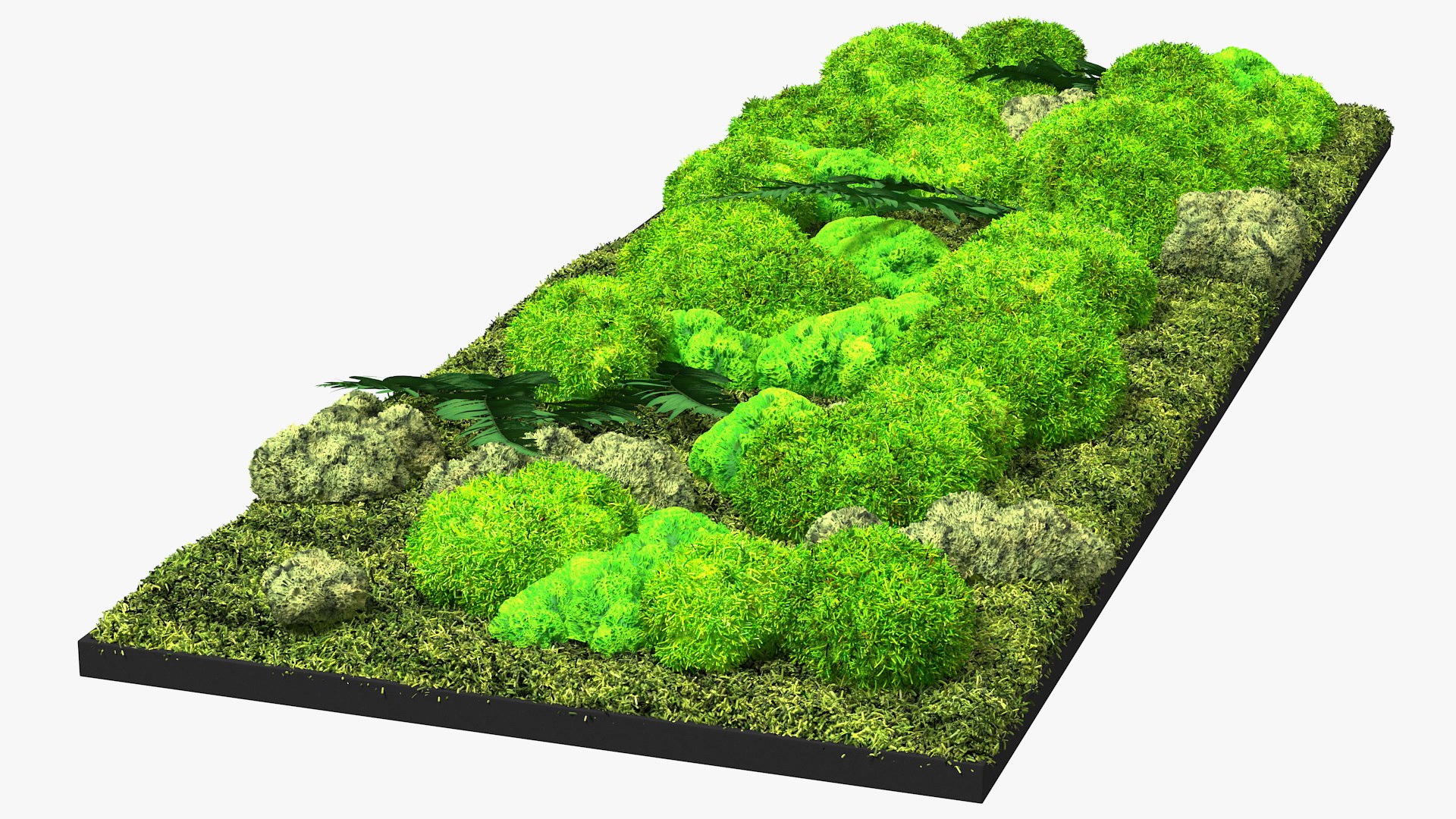 Natural Moss Wall Preserved 3D - TurboSquid 1655386